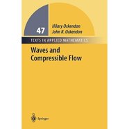 Computational Fluid Dynamics: Incompressible Turbulent Flows (Hardcover) - Walmart.com