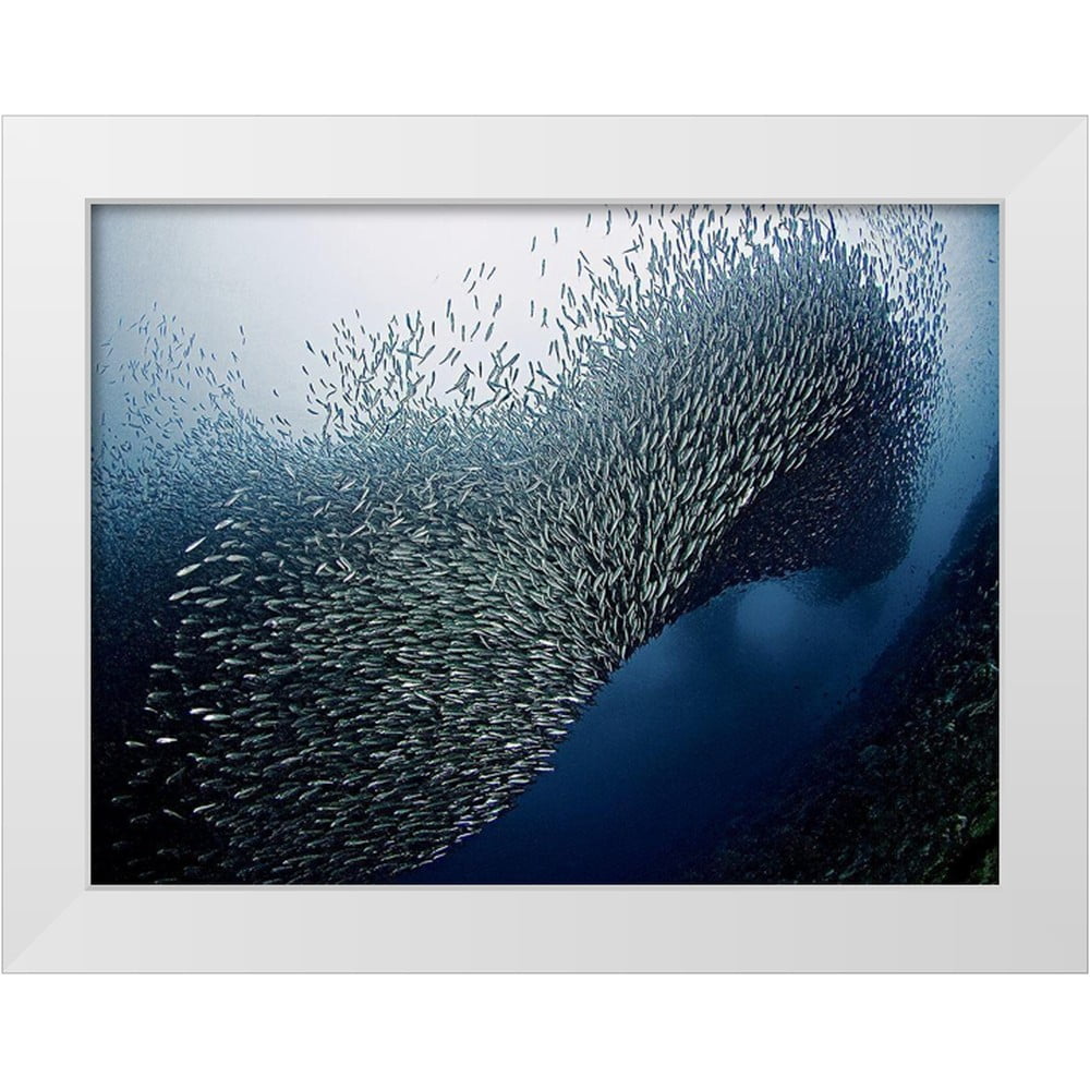 Jager, Henry 18x15 White Modern Wood Framed Museum Art Print Titled ...