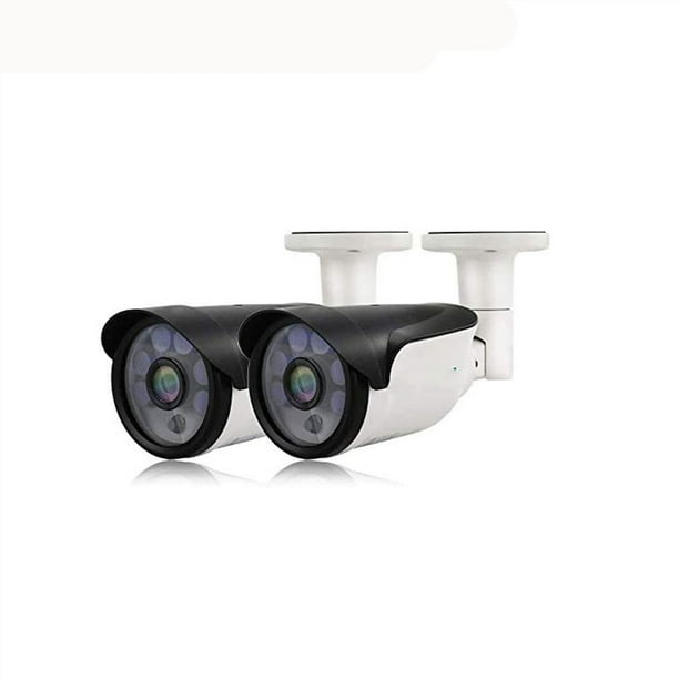 Blue Iris Compatible Cameras