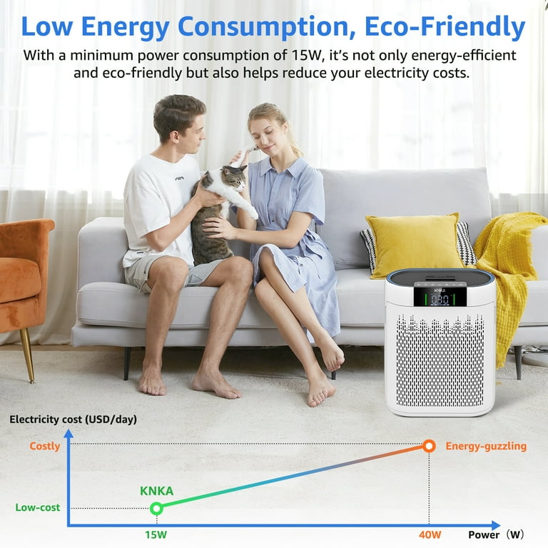 Cost of hepa filter air purifier store