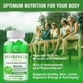 Moringa Capsules 1000MG | Boosts Energy Metabolism & Heart Support ...