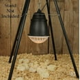 Premier 1 "Prima" Heat Lamp for Chick Brooders, Chicken and Livestock ...