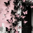 Giant Clematis Vine For Planting Ideal for Gardening Deer Resistant ...