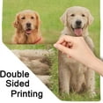 Welcome Golden Retriever Garden Flag 12.5x18 Inch Happy Dogs on Green ...