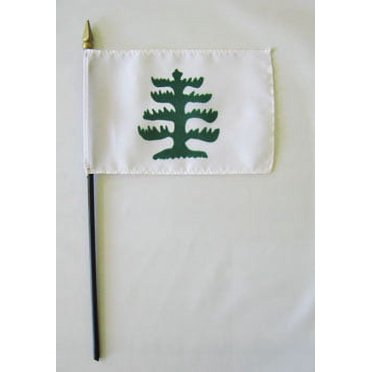 Presco Standard Pennant Flags: 60 ft. (Alternating 6 Colors) - Walmart.com