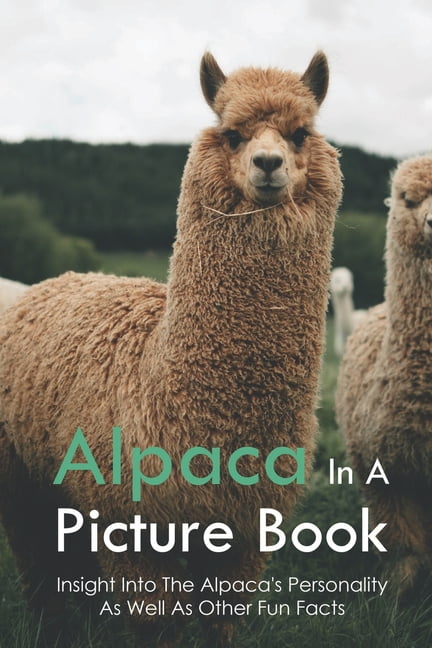 Alpaca In A Picture Book : Insight Into The Alpaca's Personality As ...