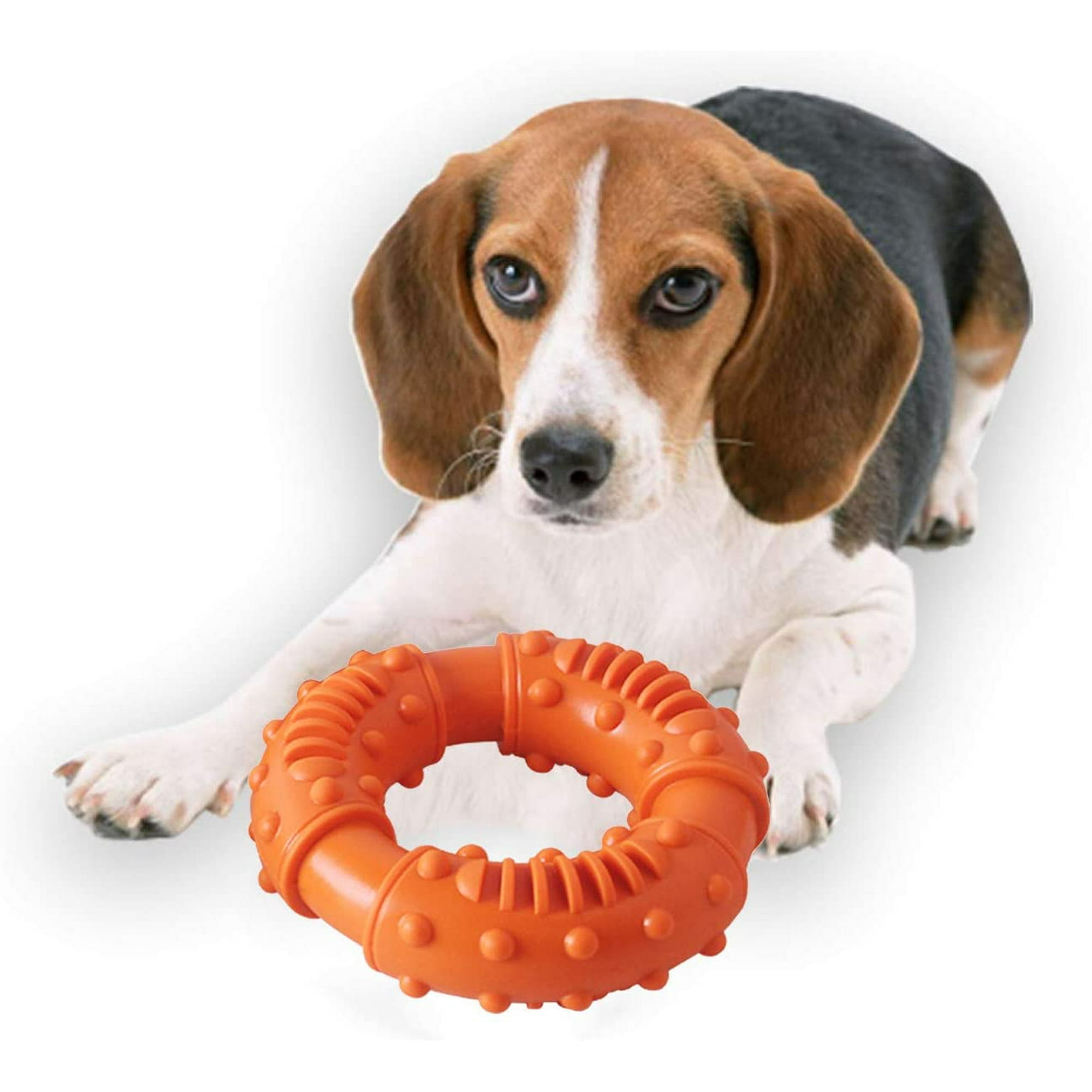Do Dogs Naturally Know How Do You Fetch