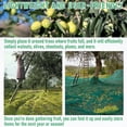 Fruit Collector Harvesting Net - 13.1 x 13.1 ft Green Agricultural ...