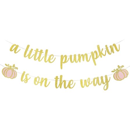 Autumn Boho Pumpkin Baby Shower Banner A Little Pumpkin is On The Way ...