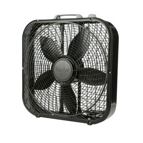 Box Fans