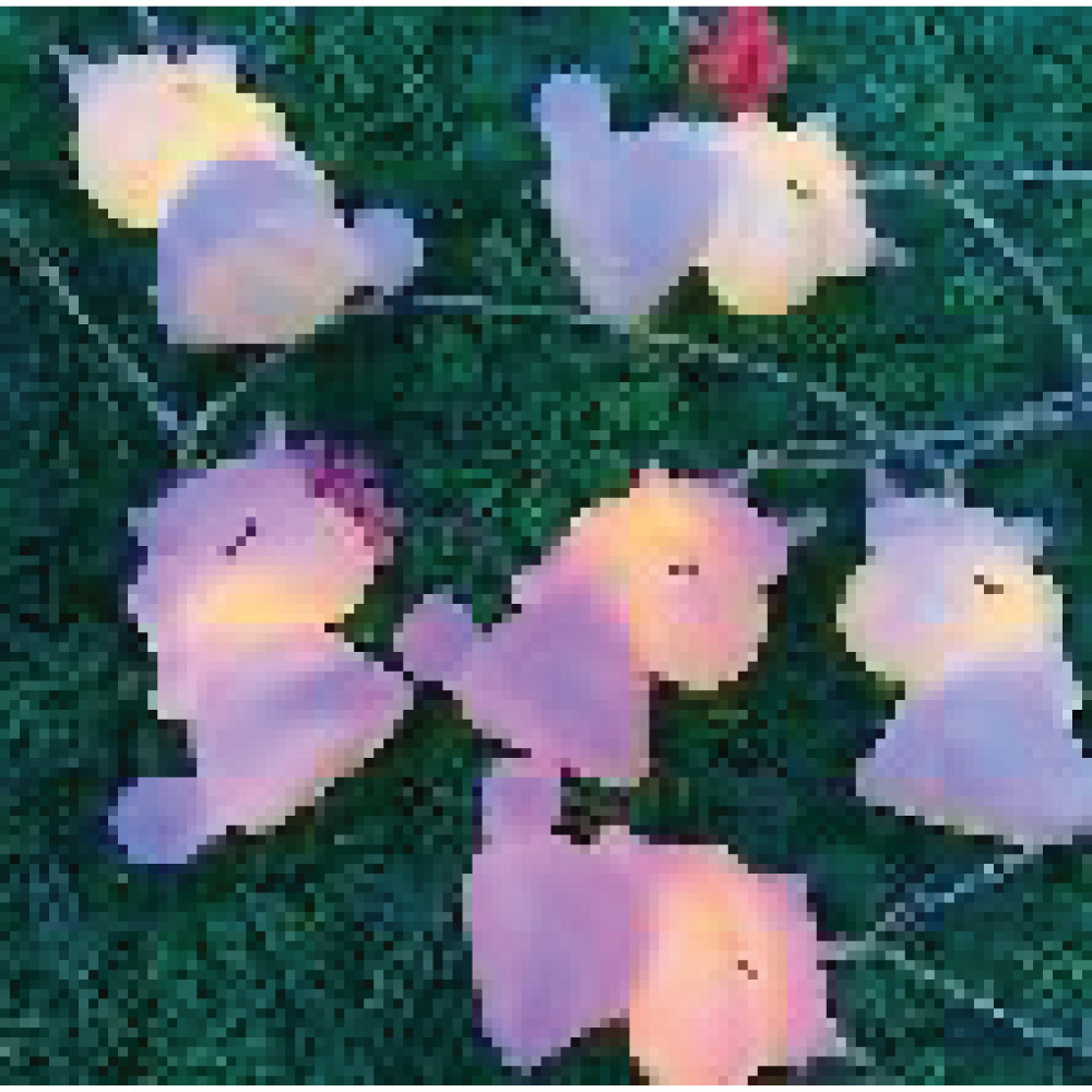 Walmart Inventory Checker – BrickSeek