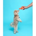 Hartz Dura Play Rocket Bacon Scented Latex Dog Toys, Small - Walmart.com