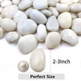 5lbs Natural White River Rocks, 2-3 Inch Polished Pebbles for Indoor ...