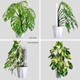 4 count 17 Inch Moss Pole for Monstera,Designed Specifically for ...