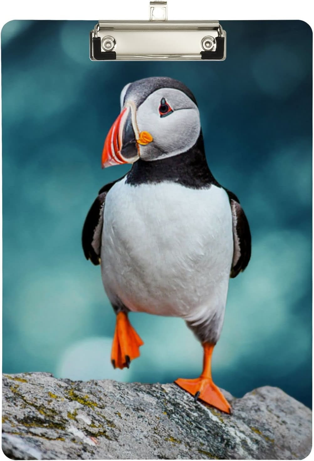 ZHANZZK Atlantic Puffins Blue Ocean Clipboard Hardboard Wood Nursing ...