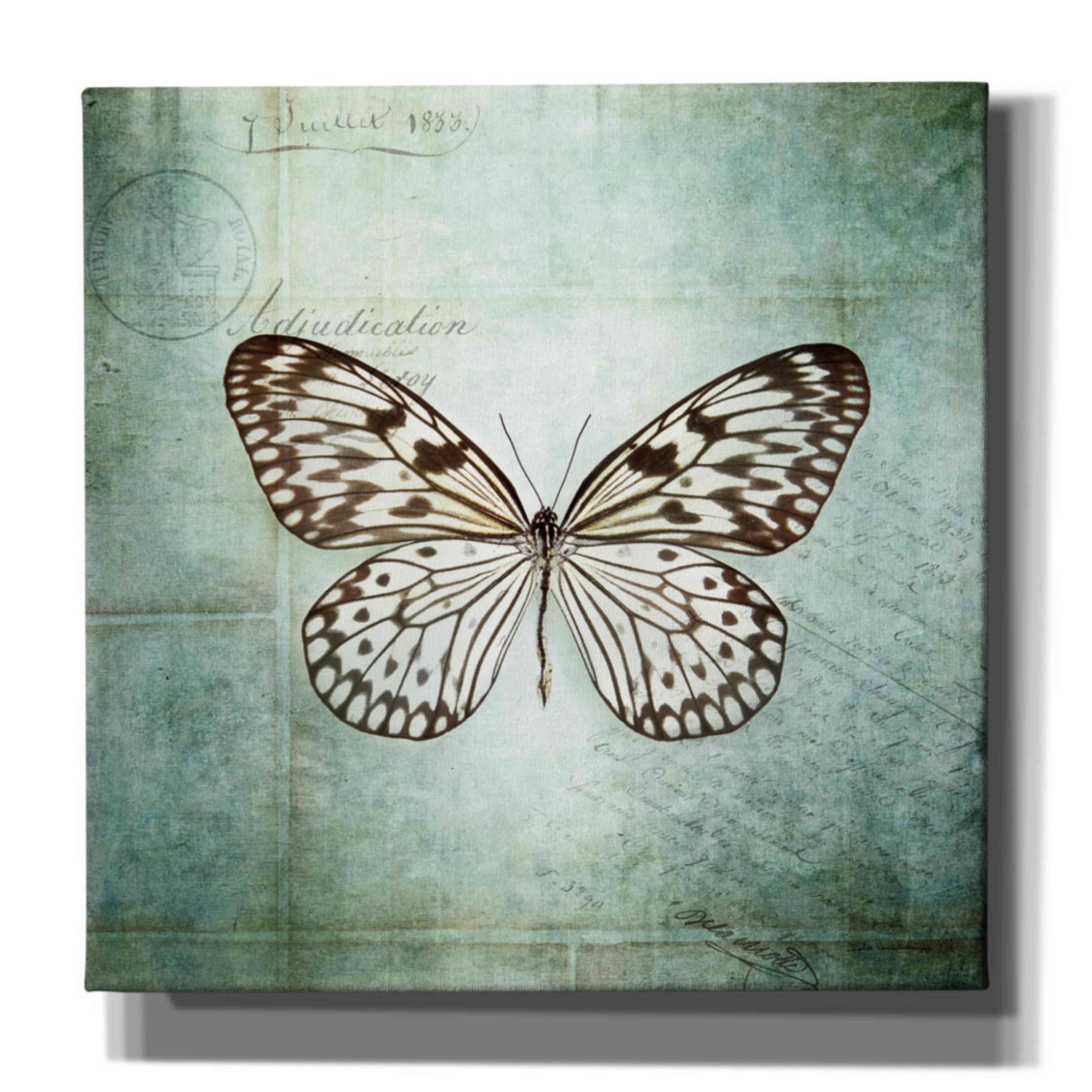 Epic Graffiti 'French Butterfly V' by Debra Van Swearingen, Canvas Wall ...