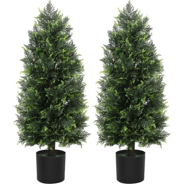 Fraser Hill Farm Boxwood Topiary in Black Pot, 24 Inches Tall ...