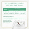 Purina Fancy Feast Dry Cat Food, with Ocean Fish & Salmon - 3 lb. Bag ...