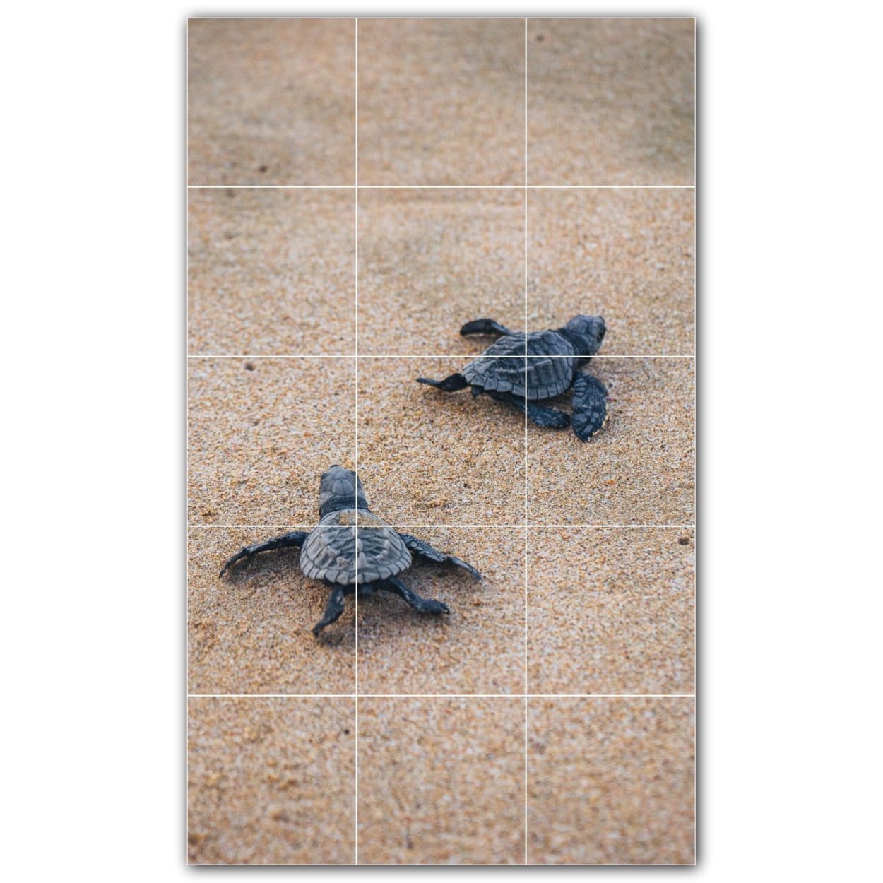 Picture-Tiles.com: Turtle Ceramic Tile Wall Mural WAL501058-35M. 18"W x ...