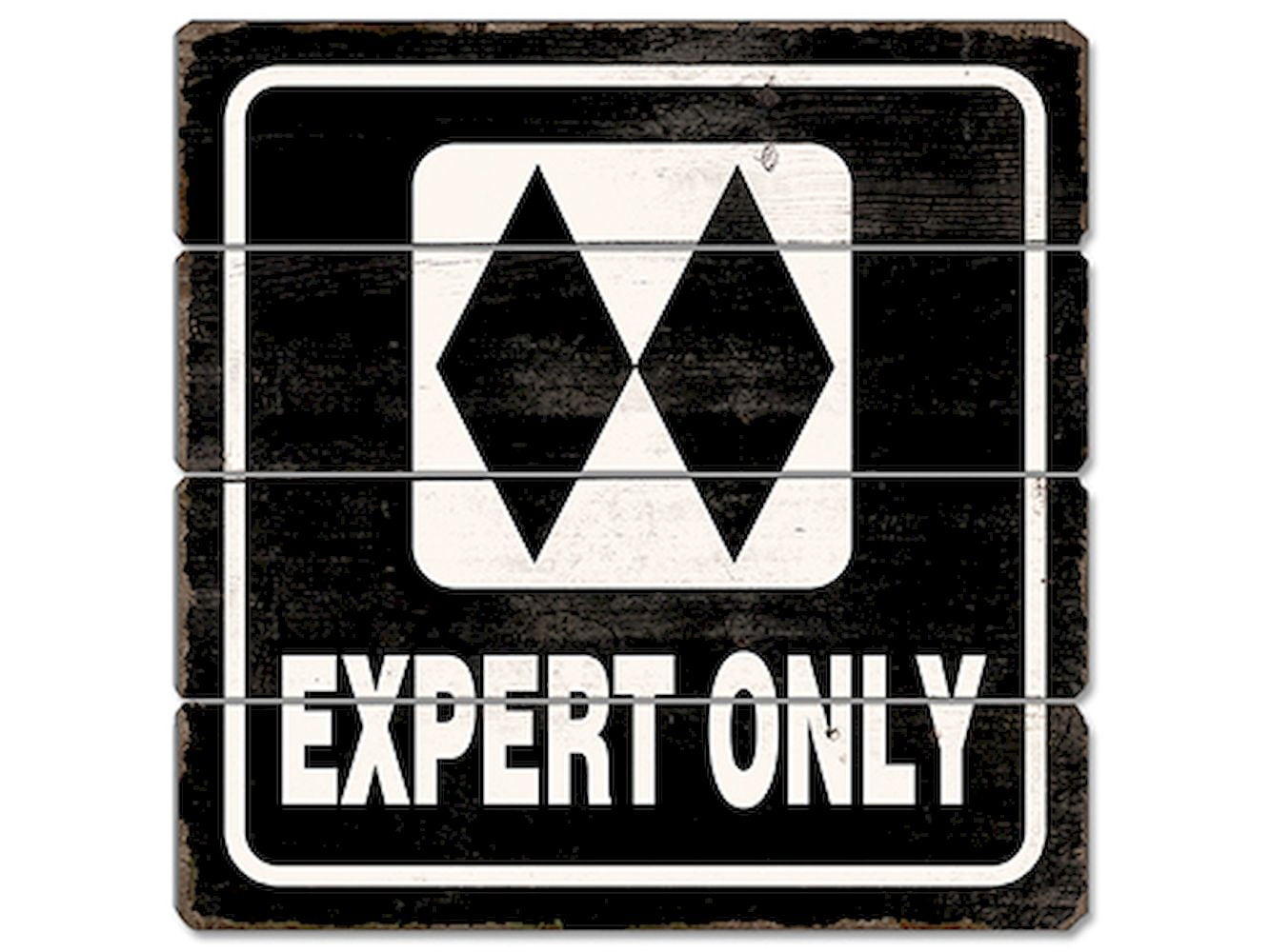 "Expert Only " Wooden Sign - Walmart.com