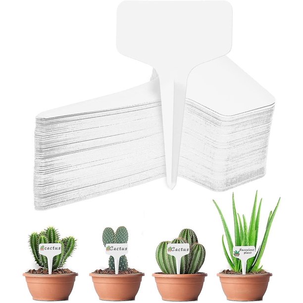 Pack Of 100 Mini Plant Signs, T-shaped Plastic Plant Stakes, Brown ...