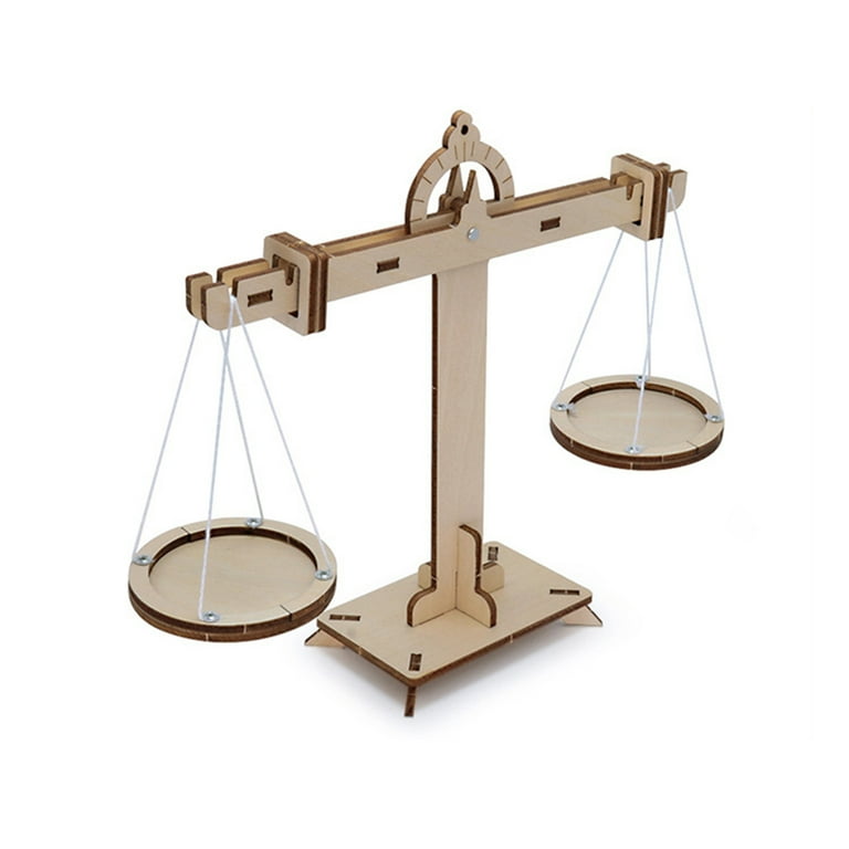 Physical Balance Instrument