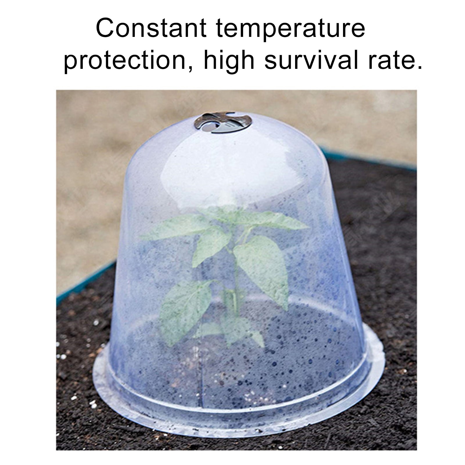 HEVIRGO 3Pcs Reusable Garden Plant Cloche - Heavy Duty Plastic Dome ...