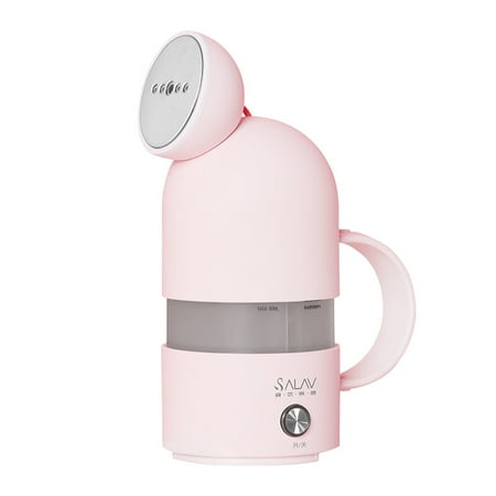 Handheld Garment Steamer Capsule Clothes Garment Steamer for Travelling ...