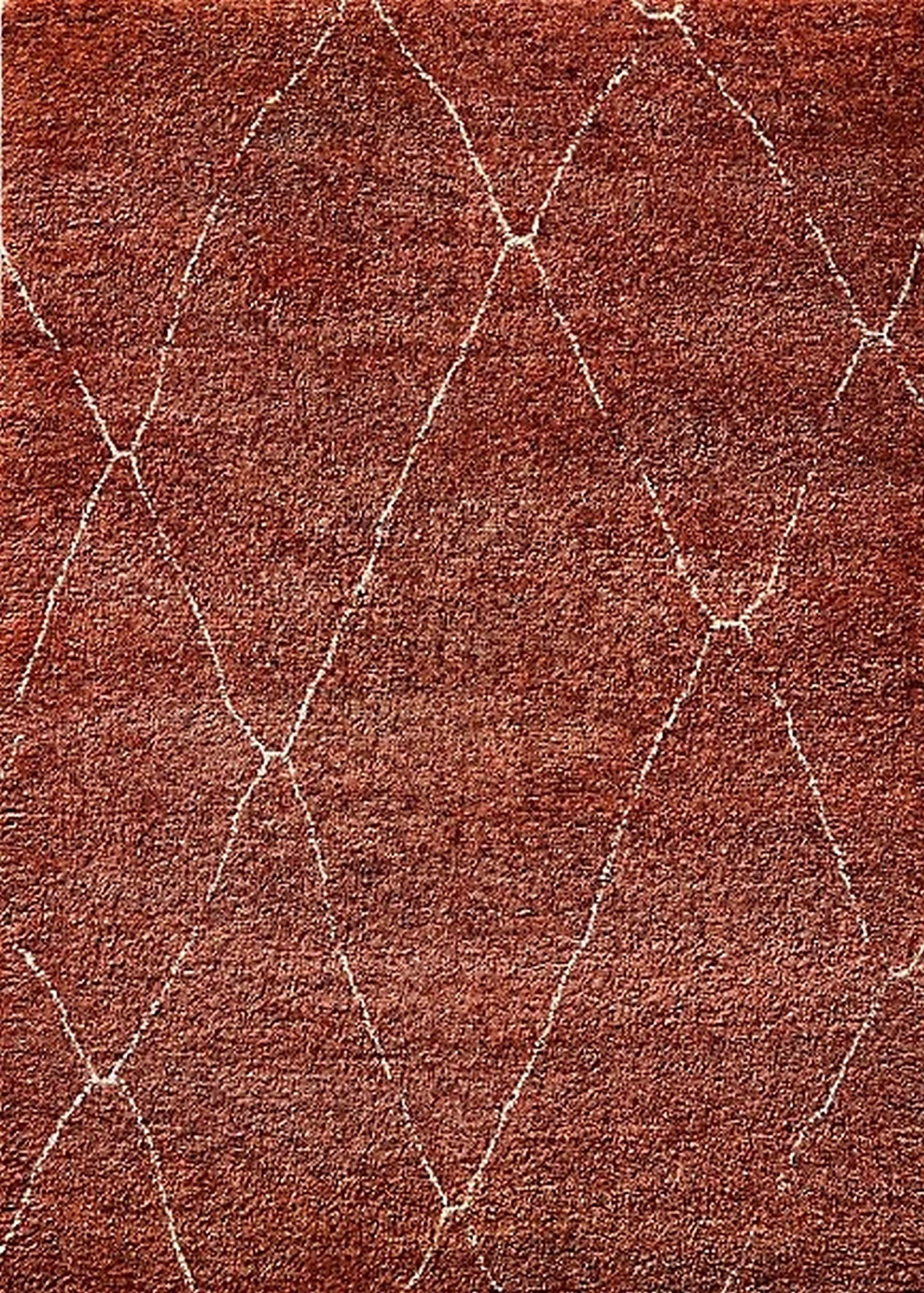 Ahgly Company Indoor Rectangle Mid-Century Modern Orange Oriental Area ...