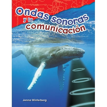 WORKMAN: Everything You Need to Ace Computer Science and Coding in One ...