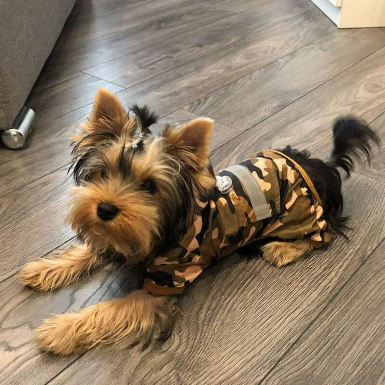 Yorkshire Terrier Clothes And Accessories