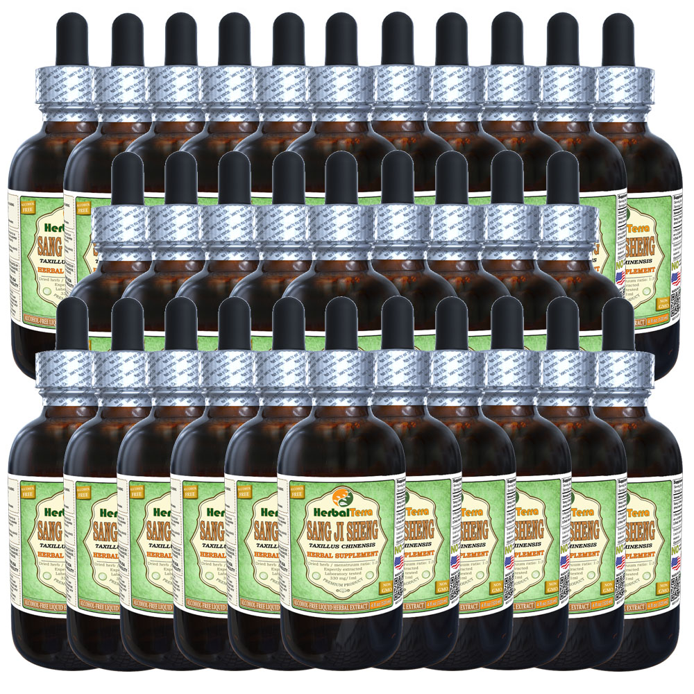 Sang Ji Sheng, Mulberry Mistletoe (Taxillus Chinensis) Glycerite, Dried ...