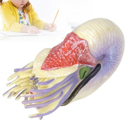 Spptty Sea Life Figures,Lifelike Spiral Shell Sea Animal Figures Model ...