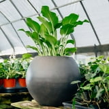 Ash & Ember Onyx 24" D Ceramic Indoor Outdoor Round Sphere Planter ...