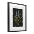 Stupell Industries Lavender Sprigs on Dark Background Black Framed ...