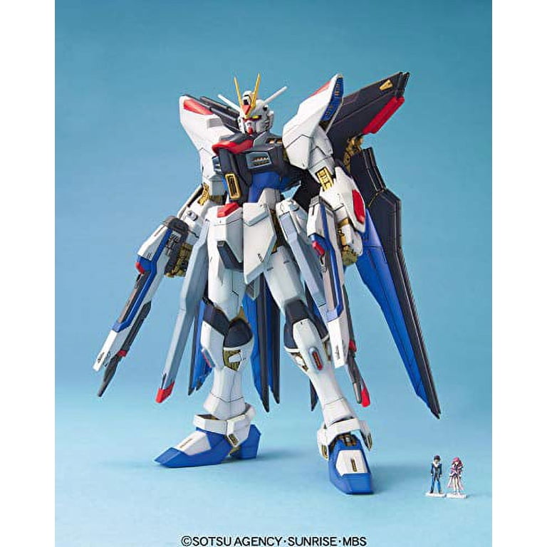Strike Freedom Gundam Rg