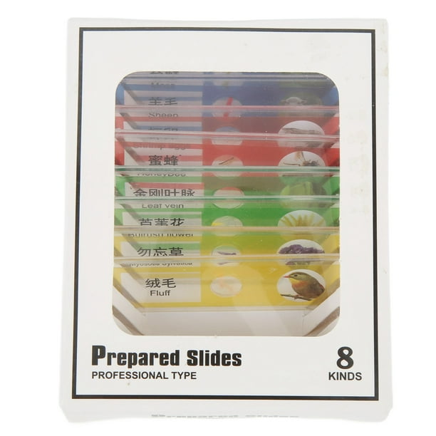 Prepared Microscope Slides, Insects Plants Clear Microscope Specimen ...