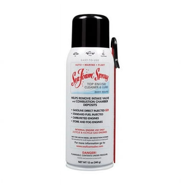 SS14 Sea Foam Spray, Quick Acting Top Engine and Carburetor Cleaner ...