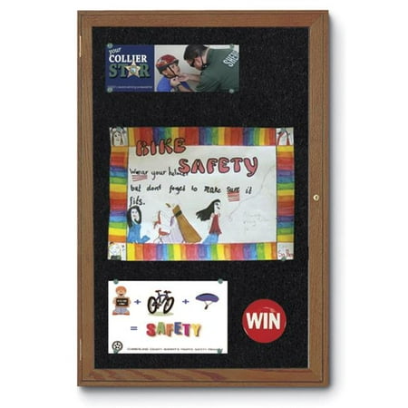 Ghent PWC12418TR-BK 24 in. x 18 in. 1-Door Wood Frame Cherry Finish ...