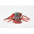 Crawfish, Crayfish, Museum Quality, Hand Painted, Rubber Crustaceans ...