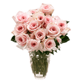400 Assorted Pink Roses- Beautiful Fresh Cut Flowers- Express Flower ...