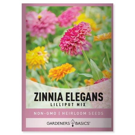 Bernary's Giant Purple Zinnia Bouquet Flower Premium Seed Packet ...