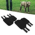 LYUMO 1 Pair Dog Front Leg Braces Stabilizer Neoprene Front Leg ...