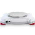 Ohaus 30253019 Model SPX222 Scout Balance, 220 g Capacity x 0.01 g ...
