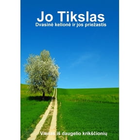 The Elijah Project, (Paperback) - Walmart.com