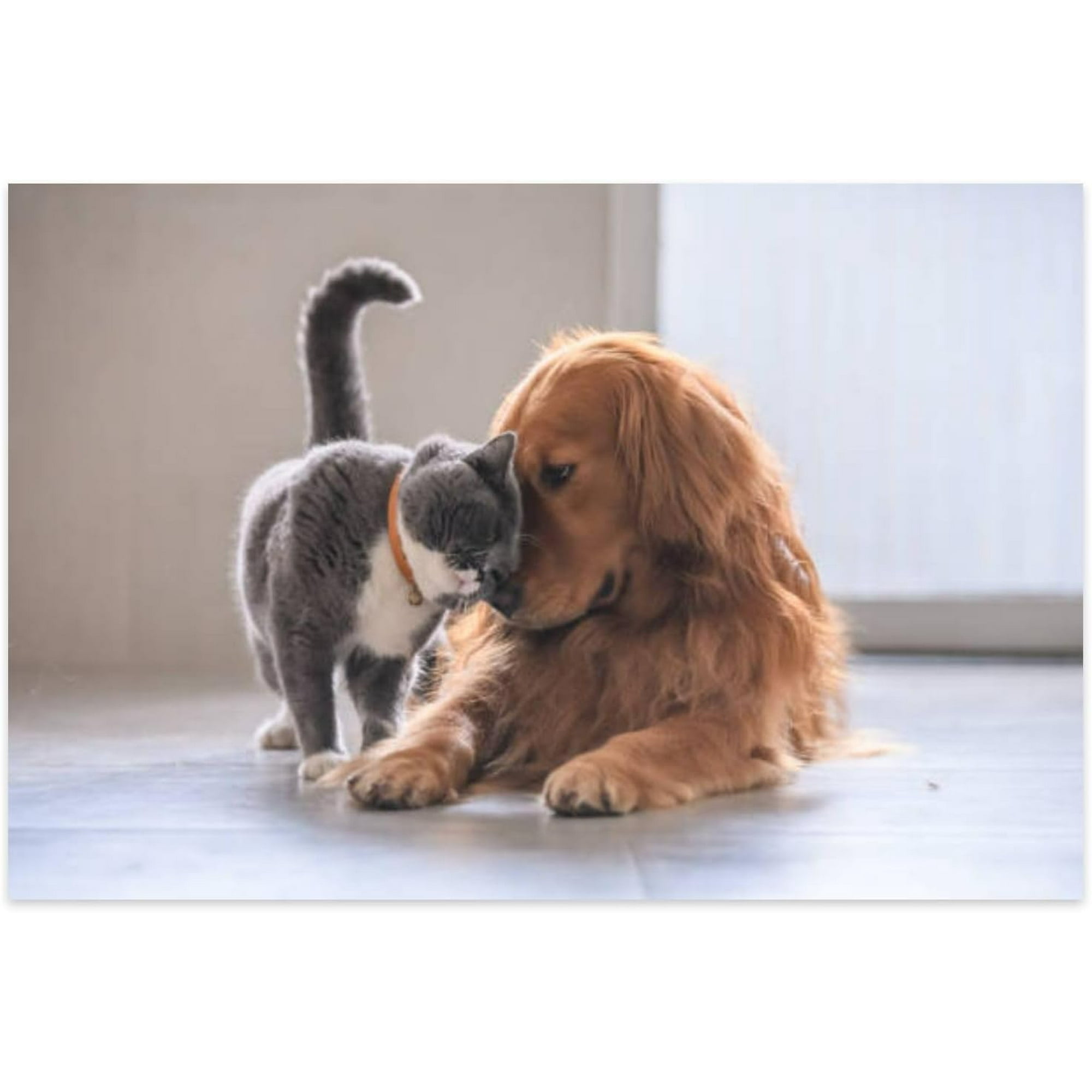 Click here for Wipblak Jigsaw Puzzles 1000 Pieces For Adult Briti... prices