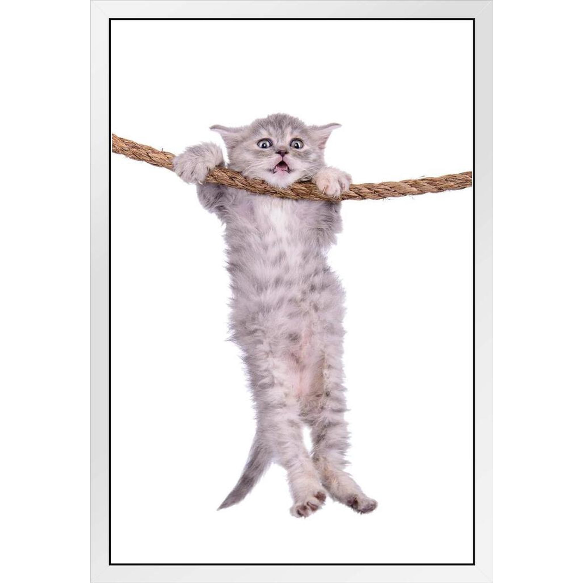 Motivational Kitten Hang In There