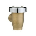 Watts 288A Anti-Siphon Vacuum Breaker 1/2 In., Brass, Lead Free ...