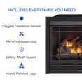 Duluth Forge Dual Fuel Ventless Fireplace Insert - 32,000 BTU, Remote ...