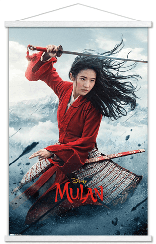 Disney Mulan - One Sheet Wall Poster with Magnetic Frame, 22.375" x 34 ...